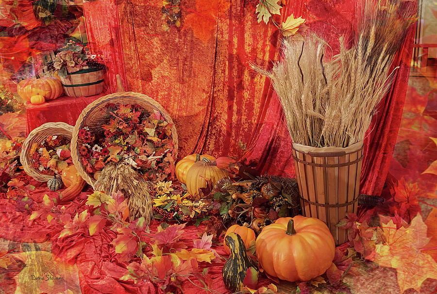 Harvest Abundance Photograph by Diane Stevens - Fine Art America Harvest Abundance Photograph by Diane Stevens - Fine Art America