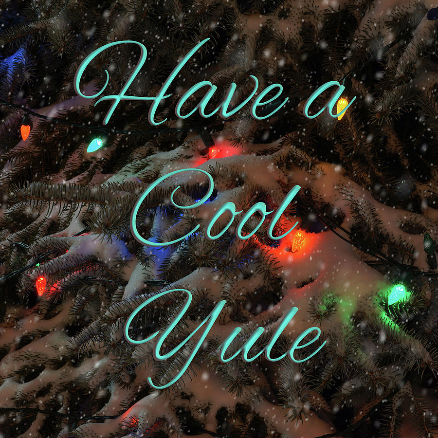Have A Cool Yule Photograph By Paula Robidoux