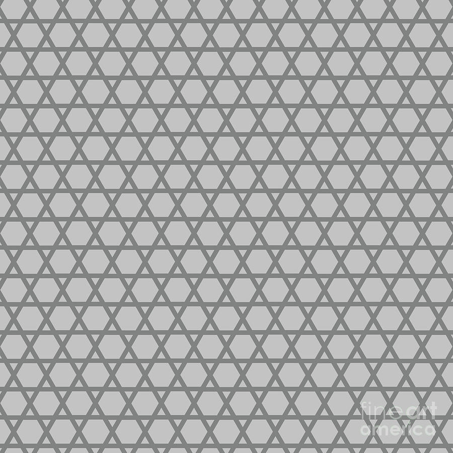 Heavy Six Pointed Star Weave Grid Pattern in Silver Sand And Granite ...