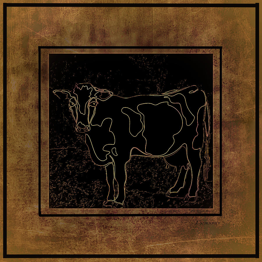 Heifer Photograph by Jennifer Stackpole - Fine Art America