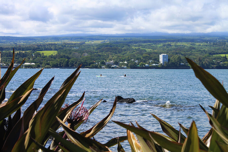 Hilo Bay 1 Photograph by David Beard - Fine Art America