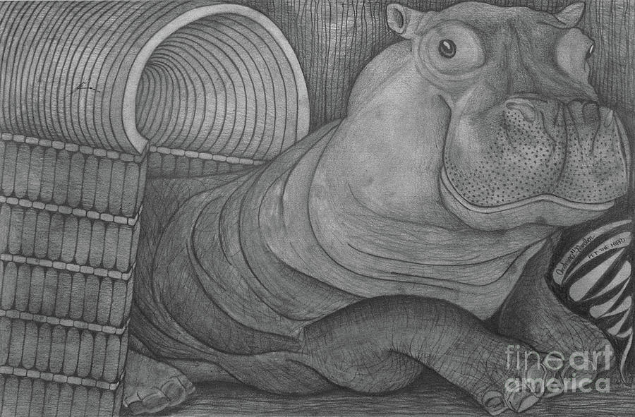 Hippo House Drawing by Andreas Gerber - Fine Art America