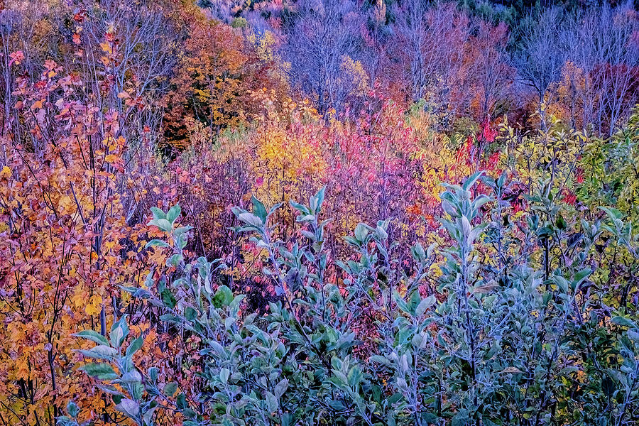 Hog Back Mountain Photograph by Tom Singleton - Fine Art America