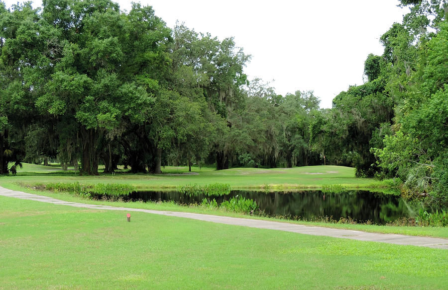 Hole 2 View Photograph by Leesie Annie Designs - Pixels Hole 2 View Photograph by Leesie Annie Designs - Pixels