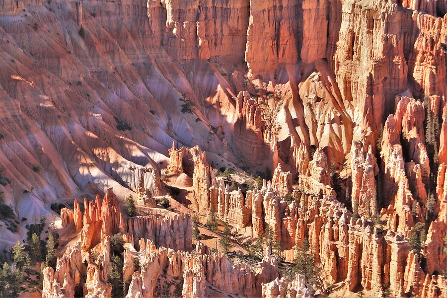 Hoodoo Heaven Photograph by Larry Kniskern - Pixels