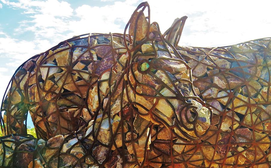 Horses Rock Photograph by Frederick Hahn - Fine Art America