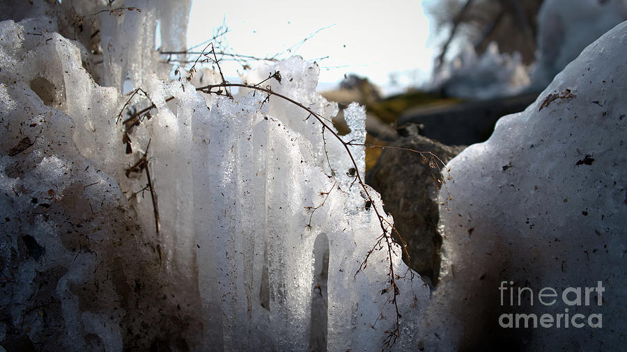 Escaping the Ice Prison Photograph by Nathan Reardon - Fine Art America