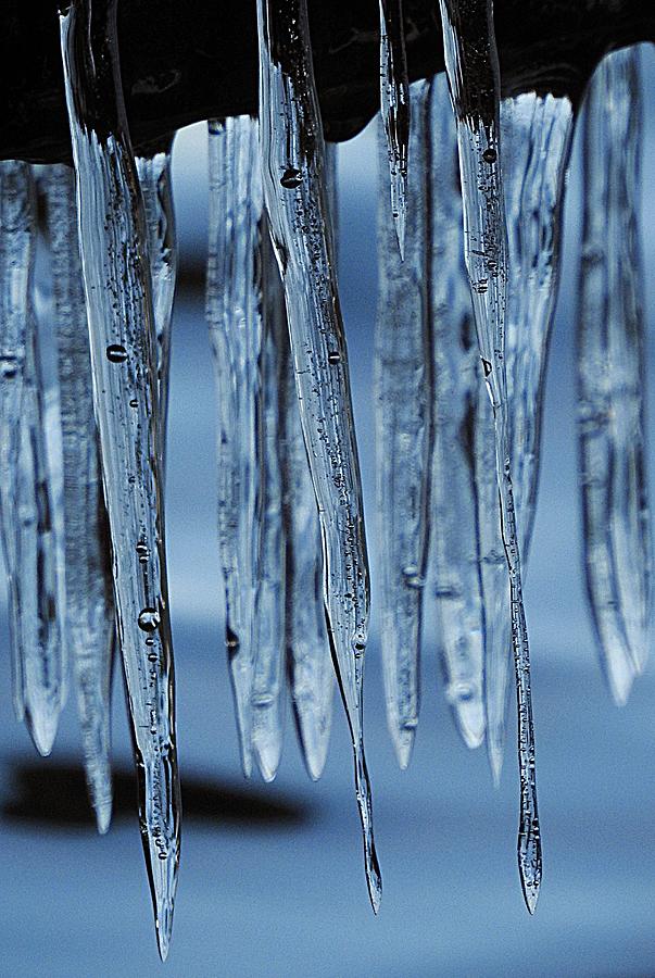 Icicle Closeup Photograph by Sandra Peery - Fine Art America Icicle Closeup Photograph by Sandra Peery - Fine Art America