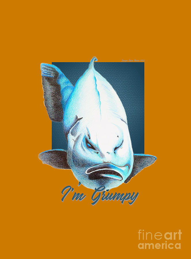 I'm Grumpy Fish Drawing by Jennifer Santa Maria - Fine Art America