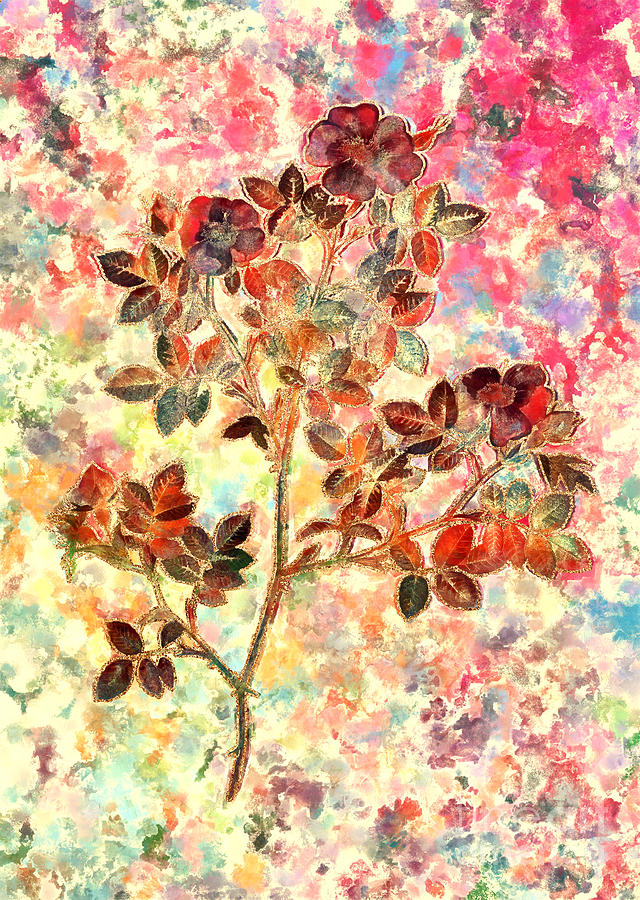 Impressionist Rose Corymb Botanical Painting in Blush Pink and Gold n.0008 Painting by Holy Rock ...