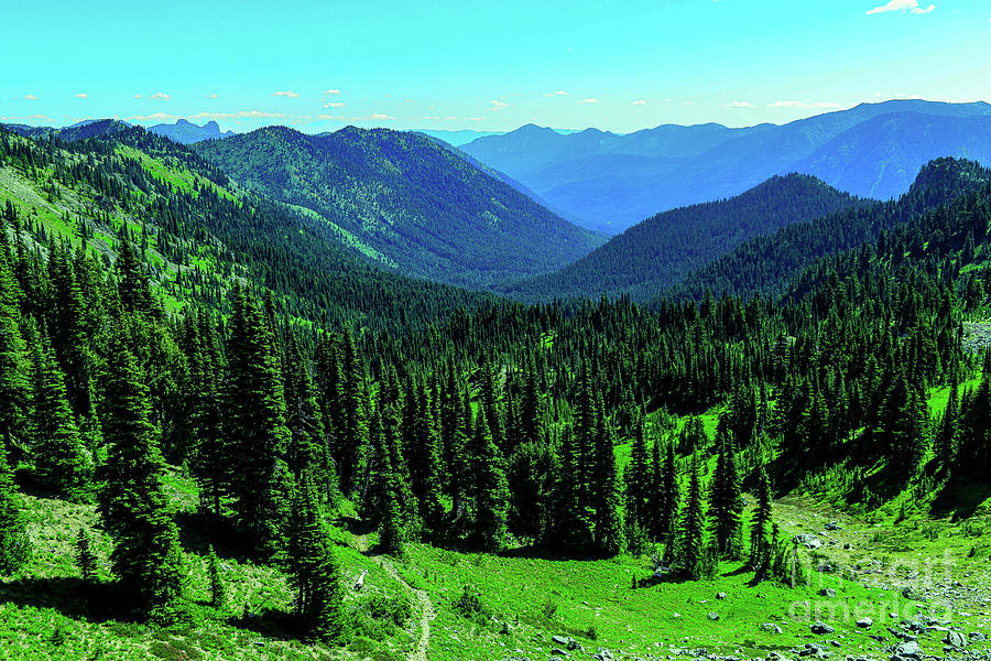 In alpine regions Photograph by Jeff Swan - Fine Art America