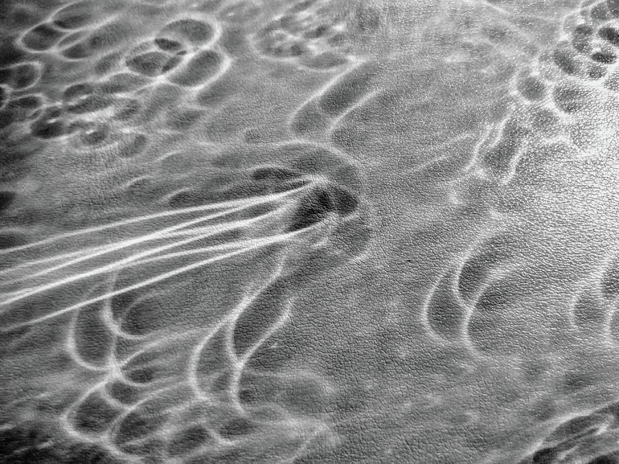 In cursive by light Photograph by Nitty Joseph | Fine Art America