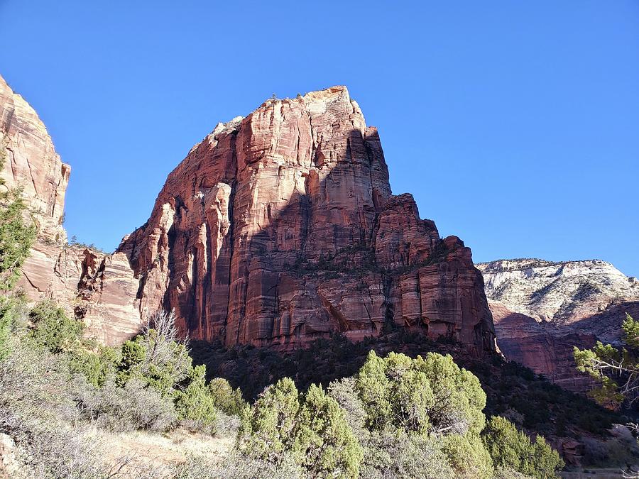 In the Shadow of Angels Landing Photograph by Nicholas Hill - Fine Art ...