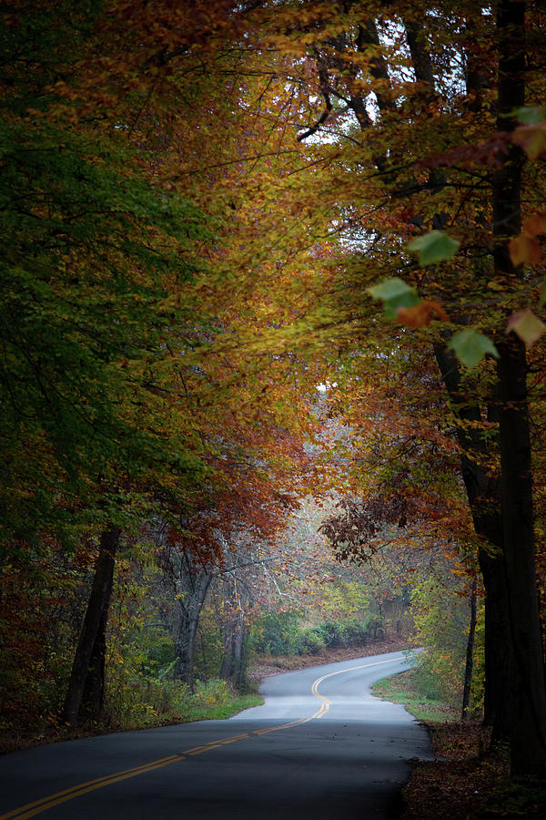 Indiana Fall Photograph by Candace Crone - Fine Art America