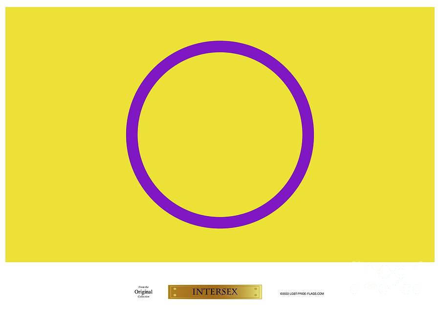 Intersex Pride Flag Digital Art By Pride Flags Pixels