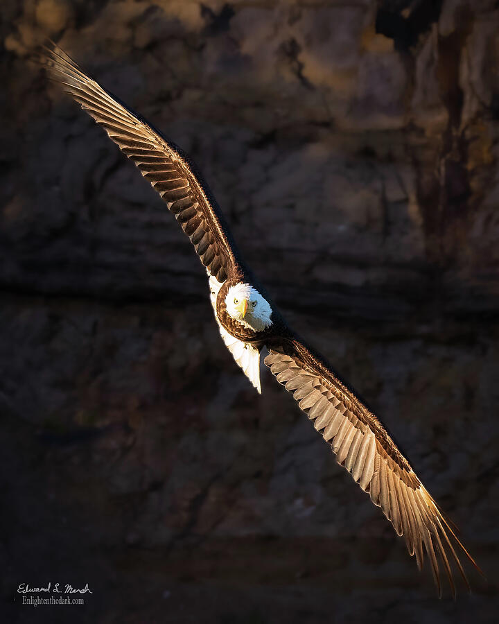 Into the Light Photograph by Edward Marsh - Fine Art America