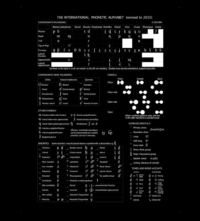 IPA International Phonetic Alphabet Poster Painting by Phillips ...