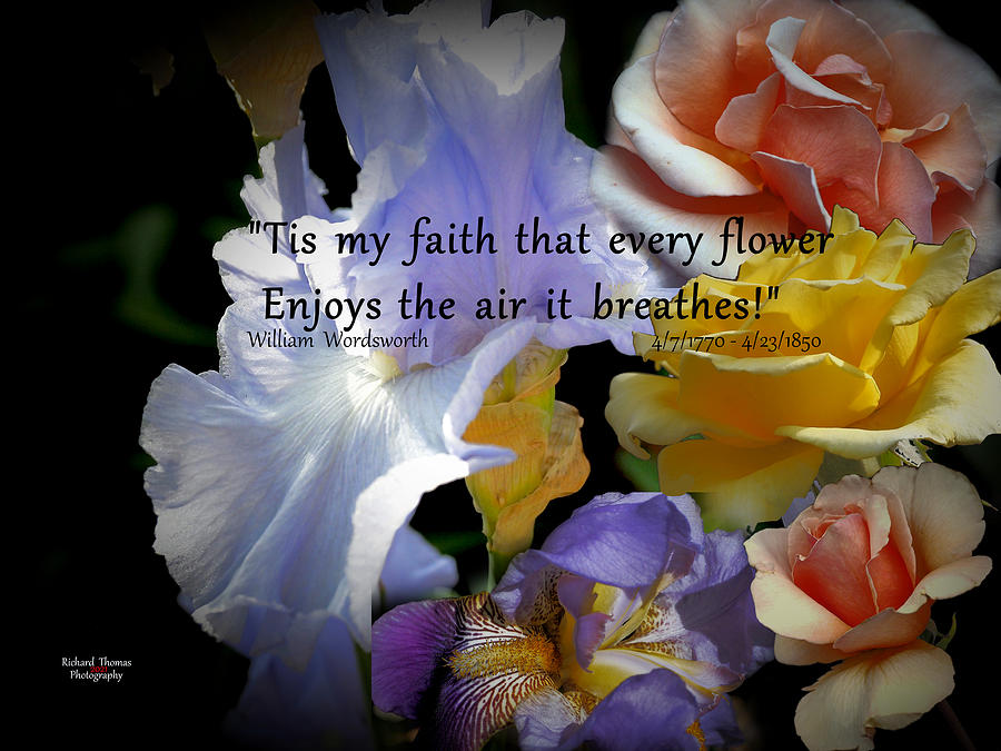 Iris Rose Bouquet Photograph by Richard Thomas | Fine Art America Iris Rose Bouquet Photograph by Richard Thomas | Fine Art America