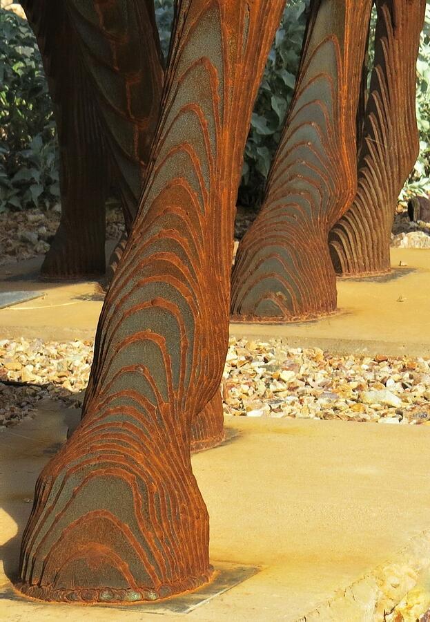 Iron Hooves Photograph by Frederick Hahn - Fine Art America