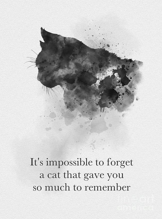 It's Impossible to forget a Cat that gave you so much to Remember Black ...