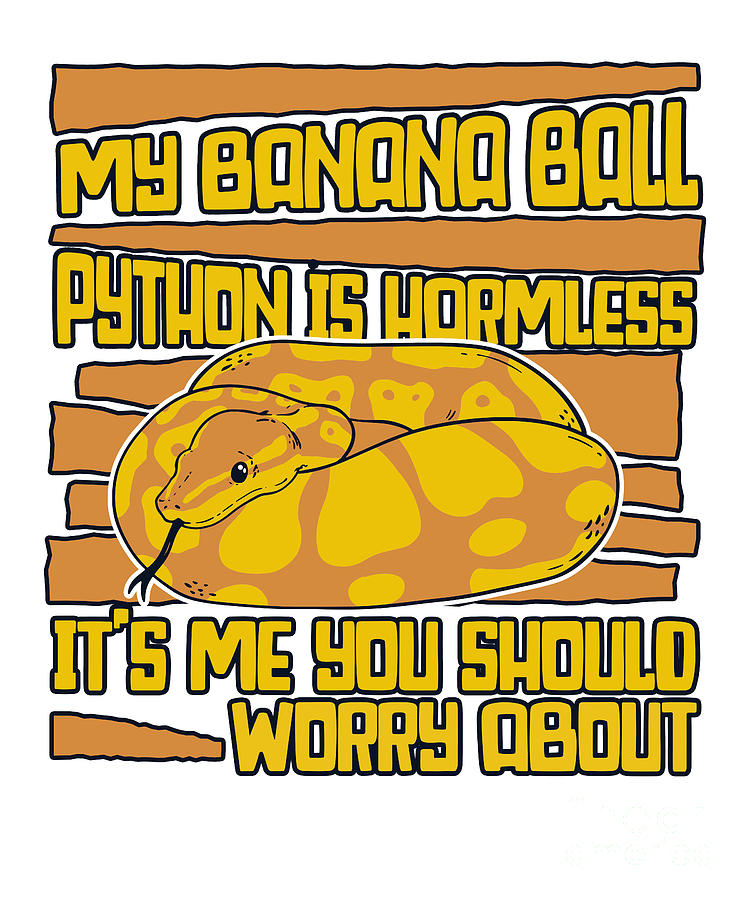 It's Me You Should Worry About Pythonidae Banana Ball Python Digital ...