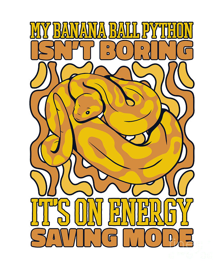 Its Only Energy Saving Mode Pythonidae Banana Ball Python Digital Art 7027