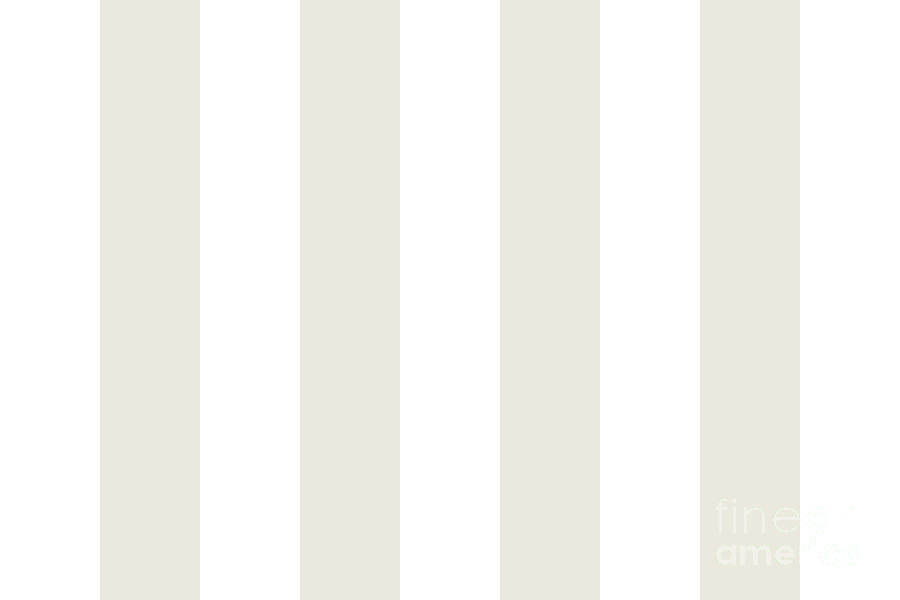Ivory White Minimal Vertical Stripe Pattern 2 Pairs Valspar 2023 COTY ... Ivory White Minimal Vertical Stripe Pattern 2 Pairs Valspar 2023 COTY ...