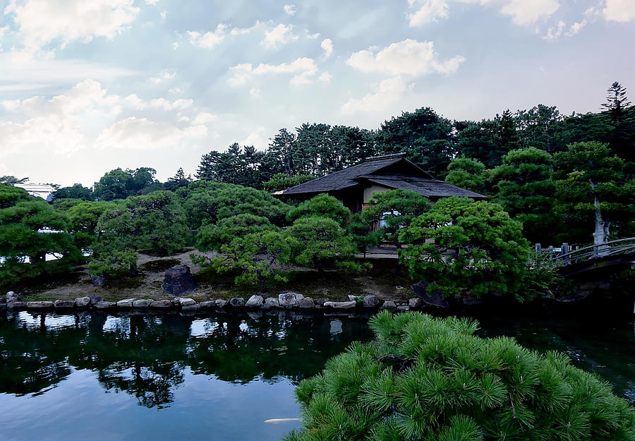 Japan - The Park 2-0614 Photograph by Clement Tsang - Fine Art America