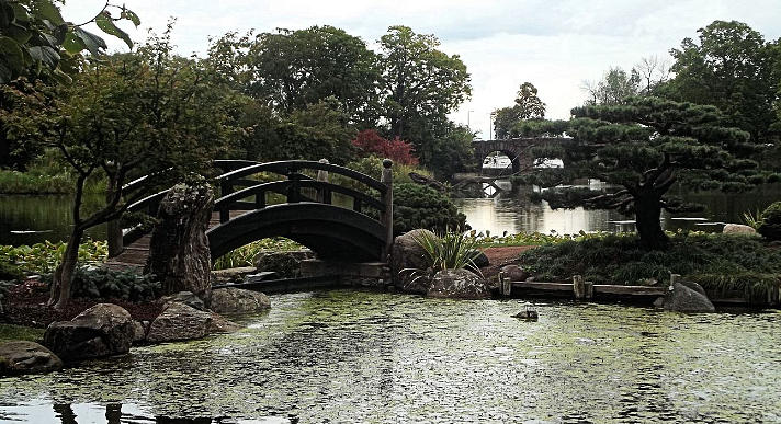 Japanese Osaka Garden Photograph by Carleen Clifton Bragg - Fine Art ...