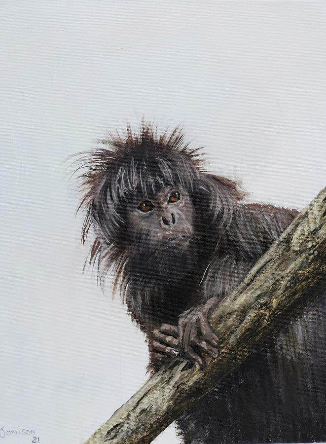 Javan Langur Painting by Stephen Jamison - Fine Art America