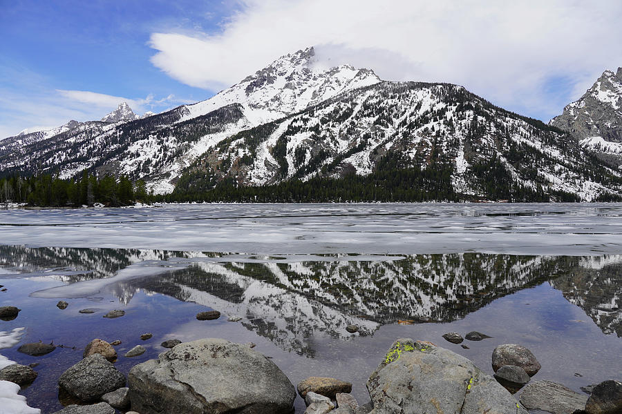 Jenny Lake Thaw Photograph by Paul Hamilton - Fine Art America