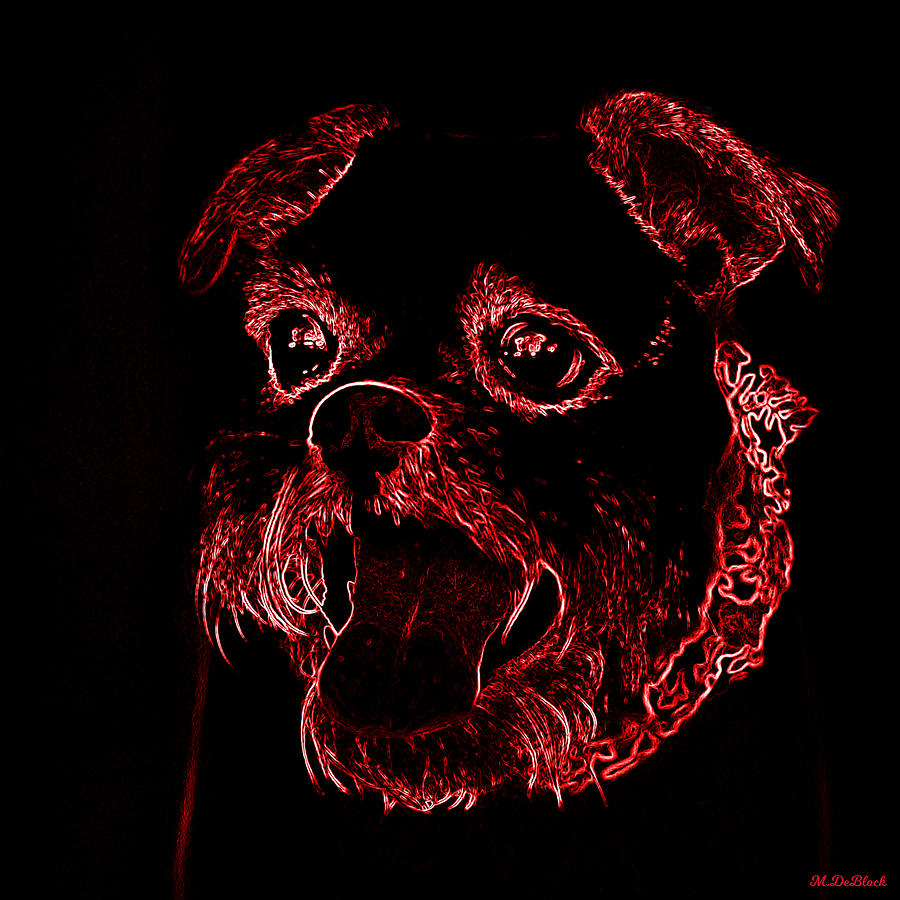 Josie Rose Abstract Photograph By Marilyn Deblock Fine Art America