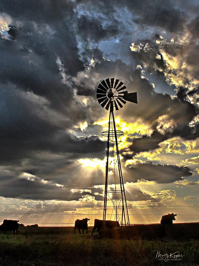 Kansas Cattle Country Sunset Photograph by Marty Kugler - Fine Art America