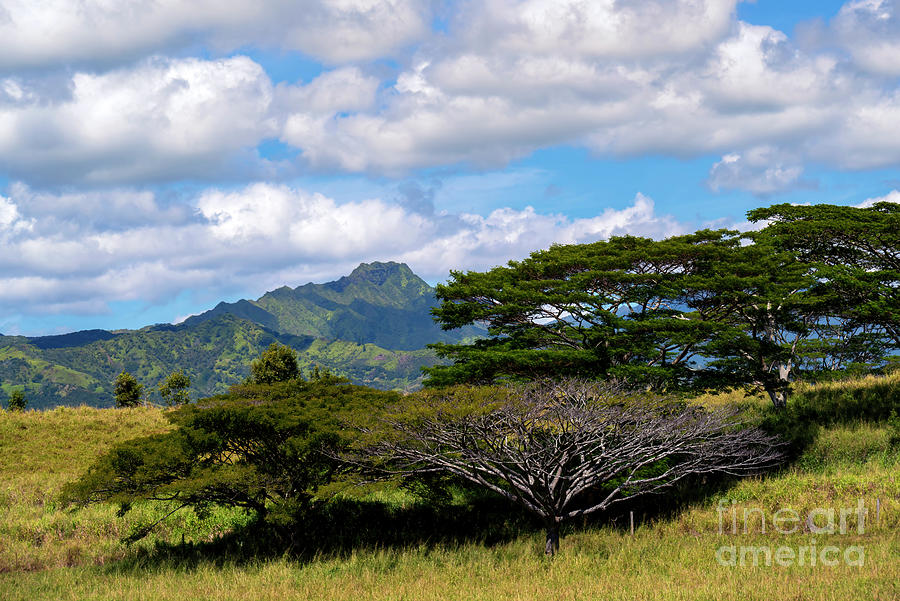 Kauai Paradise Photograph by Michael Dawson - Fine Art America Kauai Paradise Photograph by Michael Dawson - Fine Art America