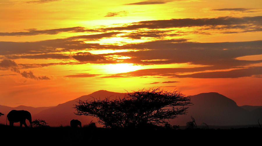 Kenyan sunset Photograph by Keith Parish | Pixels