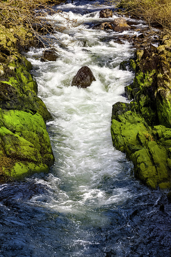 Ketchikan Creek Alaska 1 Photograph by Kelley King - Fine Art America