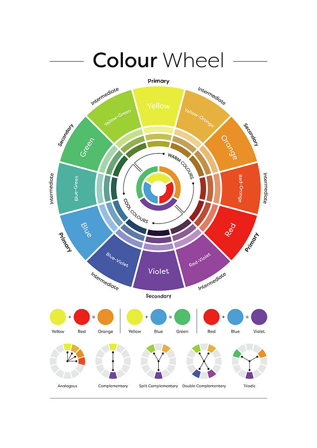 Kid's Colour Wheel - UK Digital Art by Penny And Horse - Fine Art America
