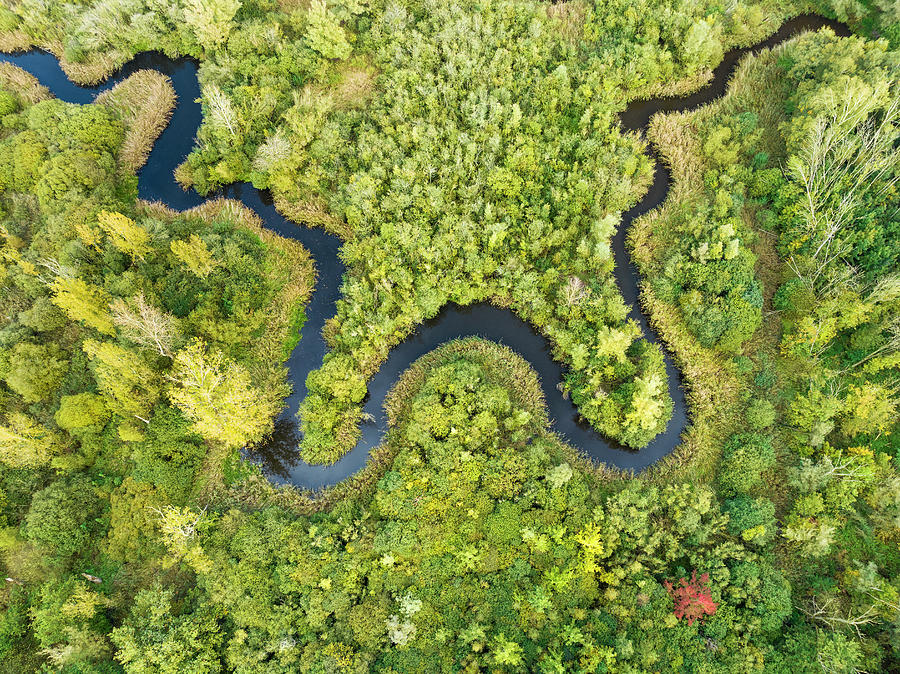 Kronkelende rivier Aa in bos Photograph by Paul Oostveen - Fine Art America
