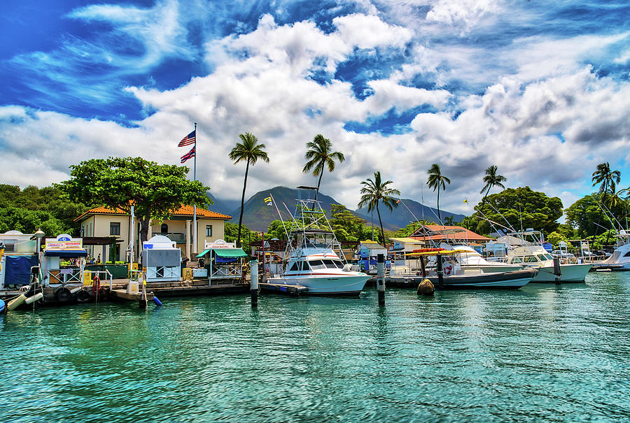 Lahaina Harbor Morning Photograph by Dave Fish - Fine Art America