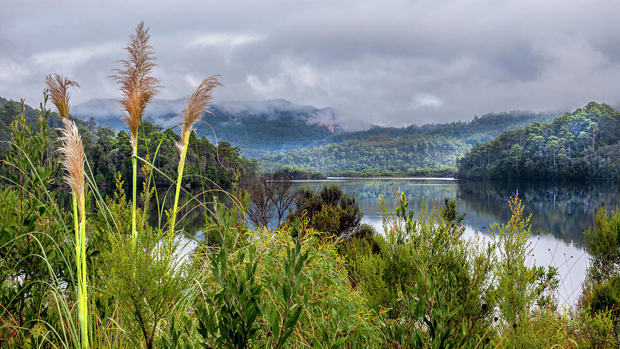 Lake Rosebery Photograph by Peter Rattigan - Fine Art America