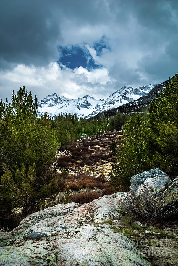 Landscape_00190 Photograph by Brian Lettieri - Fine Art America