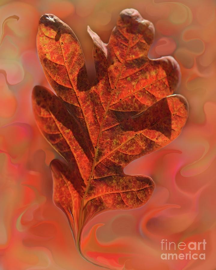 Leaf Digital Art by Tim Cheney - Fine Art America