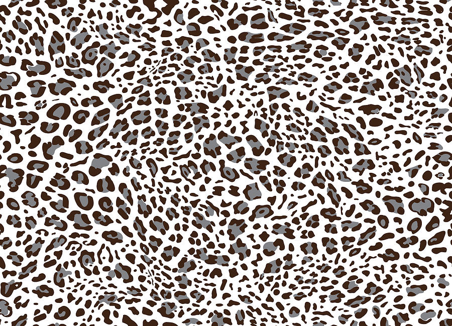 Leopard Texture 6 Digital Art by Bledi Shkalla - Fine Art America