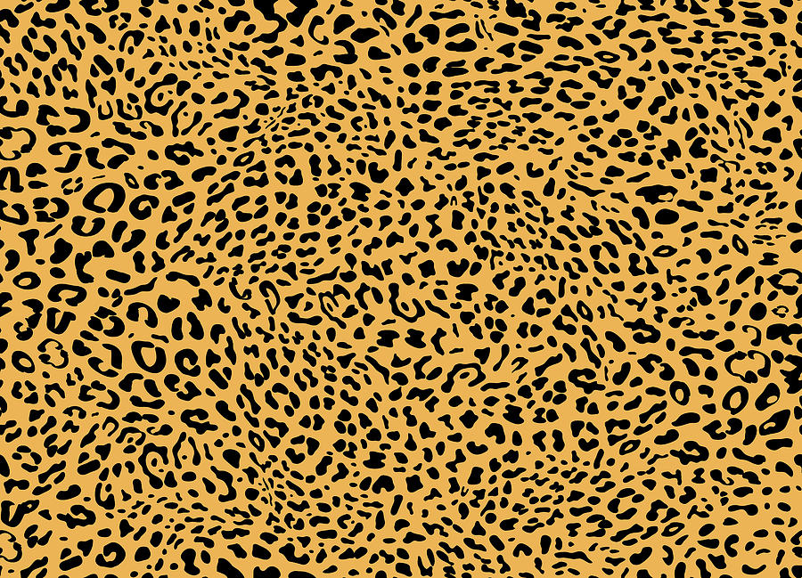 Leopard Texture 7 Digital Art by Bledi Shkalla - Fine Art America