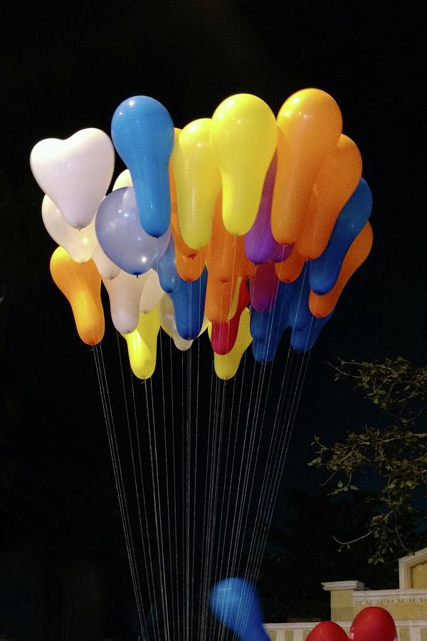 Let it go Photograph by Kalpana Hebbar | Pixels