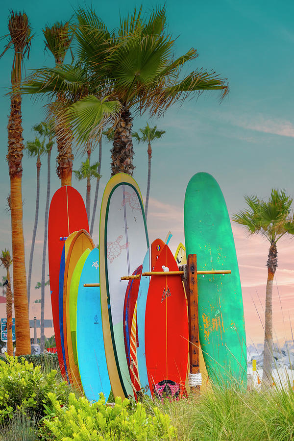 Lets go Surfing Photograph by Mary Buck - Fine Art America