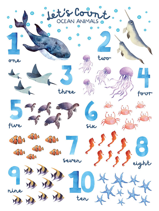 Letx27s Count Ocean Animals Poster funny Painting by Jacob Taylor ...