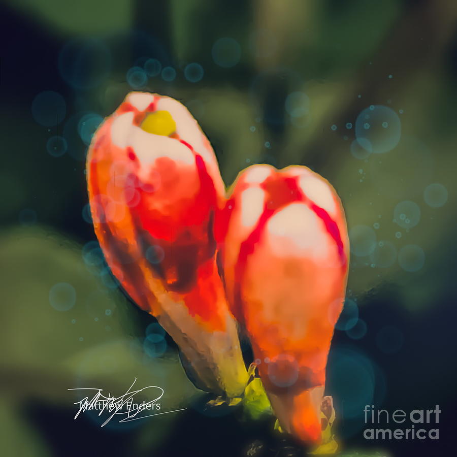 Life Photograph By Matthew Enders Fine Art America