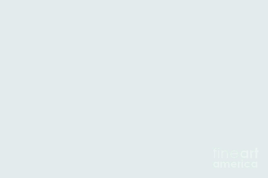 Light Gray Solid Color Pairs Pantone Bit of Blue 11-4601 TCX Digital ... Light Gray Solid Color Pairs Pantone Bit of Blue 11-4601 TCX Digital ...