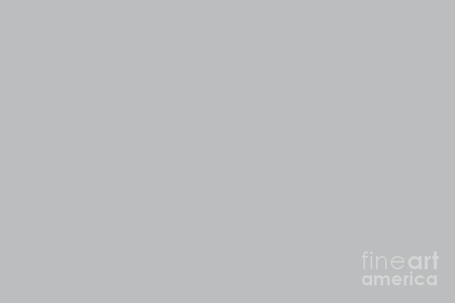 Light Gray Solid Color Pairs Pantone Gray Violet 14-4103 TCX Shades of ... Light Gray Solid Color Pairs Pantone Gray Violet 14-4103 TCX Shades of ...